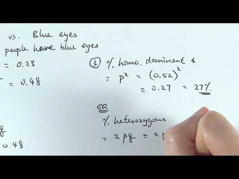 A2 Biology - Hardy-Weinberg principle (OCR A Chapter 20.5)