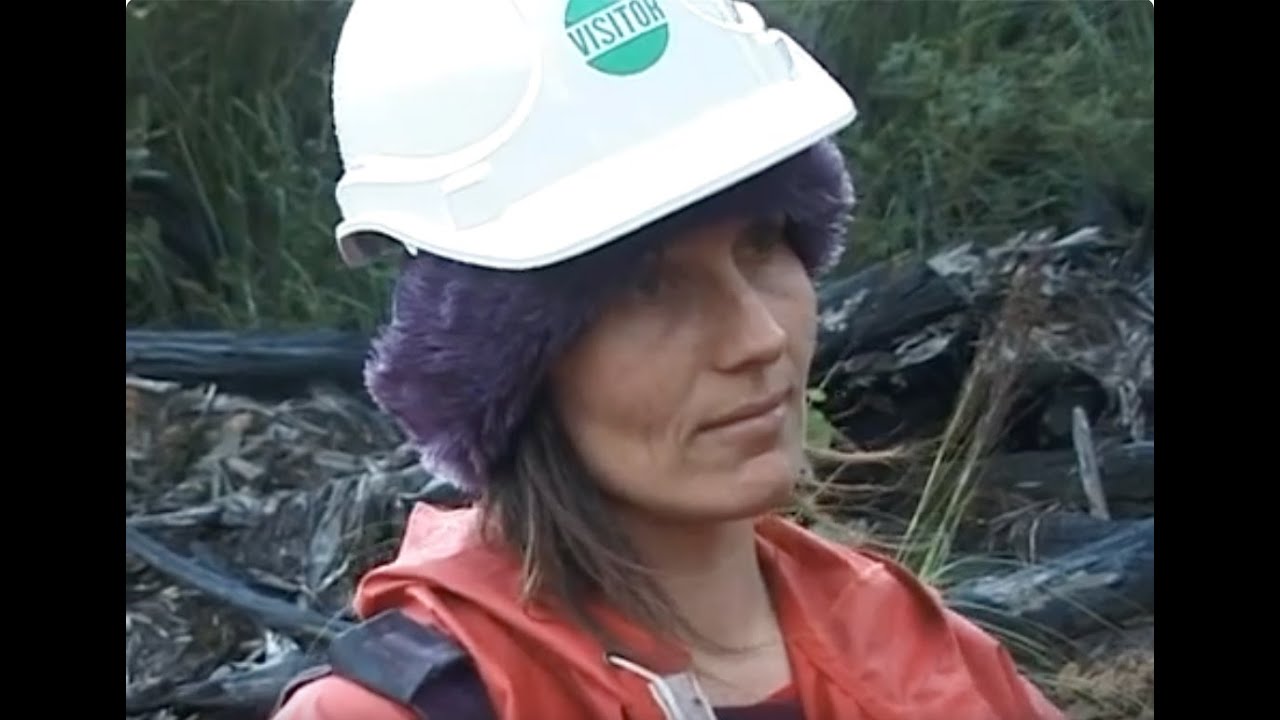 The One Tree Project
