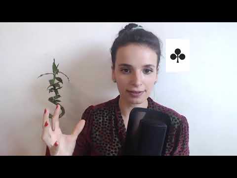 ♣️ Ace of Clubs: From Contemplation to Newness