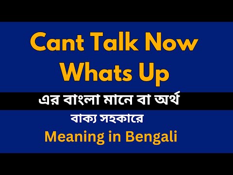 Cant Talk Now Whats Up Meaning in Bengali/Cant Talk Now Whats Upশব্দের বাংলা ভাষায় অর্থ অথবা মানে কি