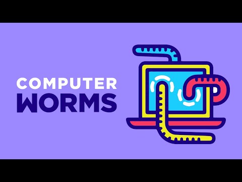 All About Computer Worm Explained- Watch this before taking any Action!!