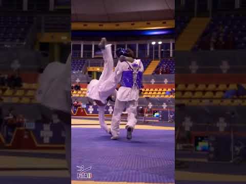 best KO,taekwondo kick,90°