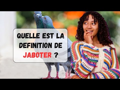 Quelle Est La Définition De Jaboter ? | Synonymes + Exemples | Parler Français