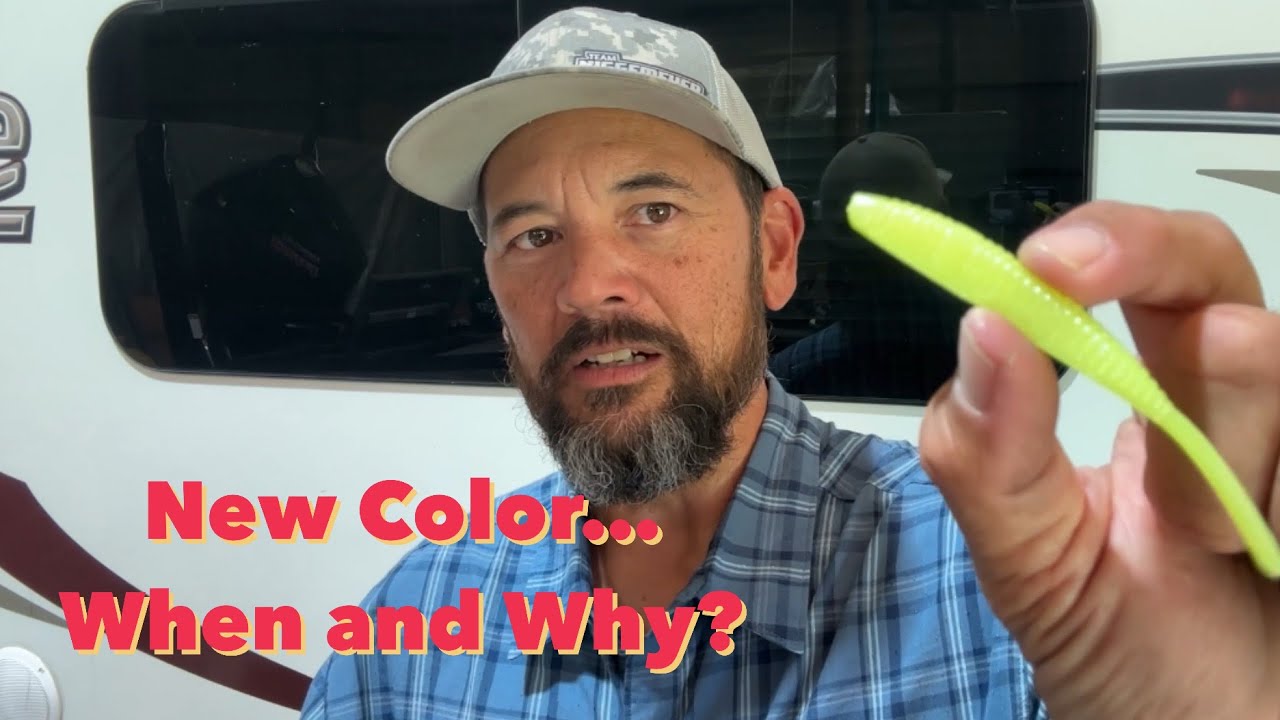 New Yamamoto Baits Color - WHY?…and when to throw it!