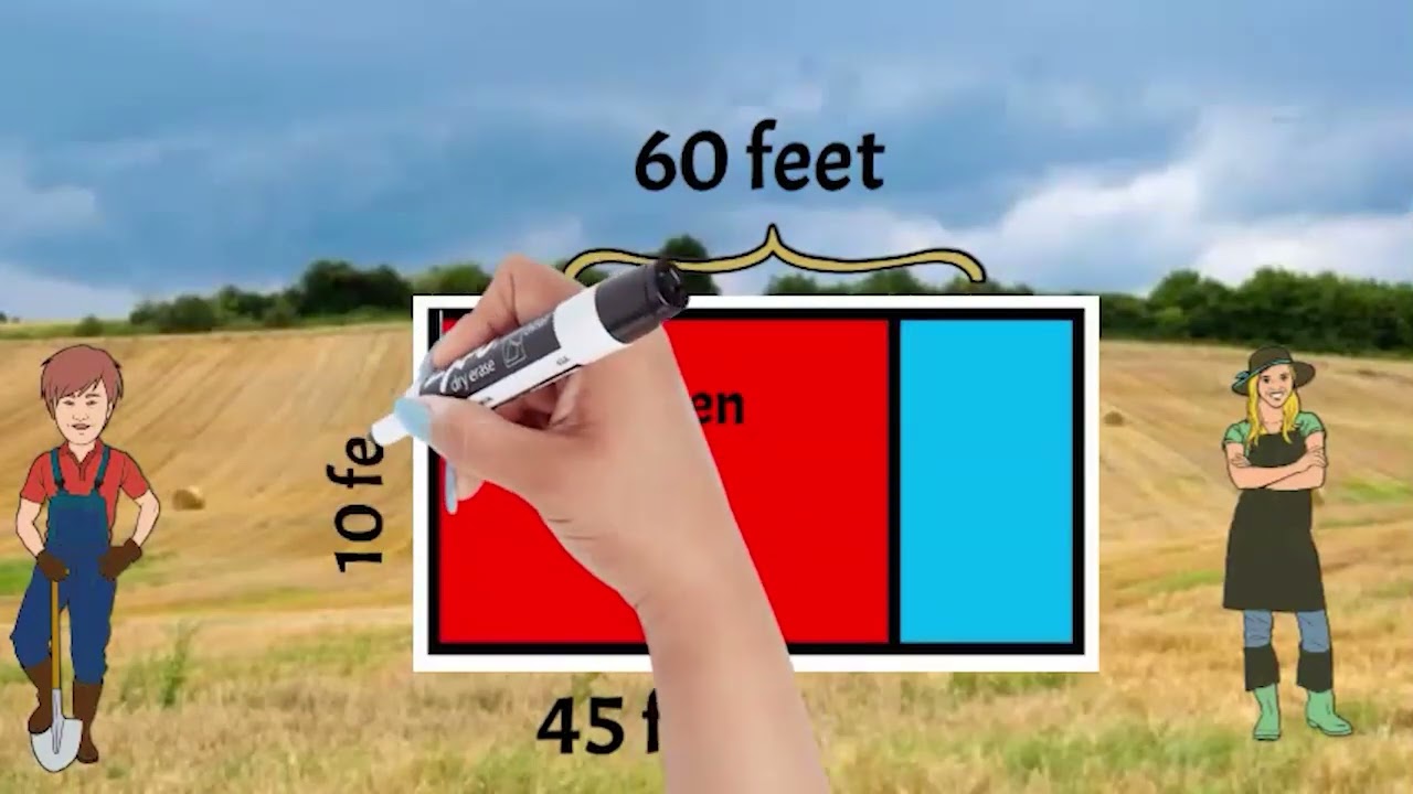 Area of Rectangles - 4th Grade