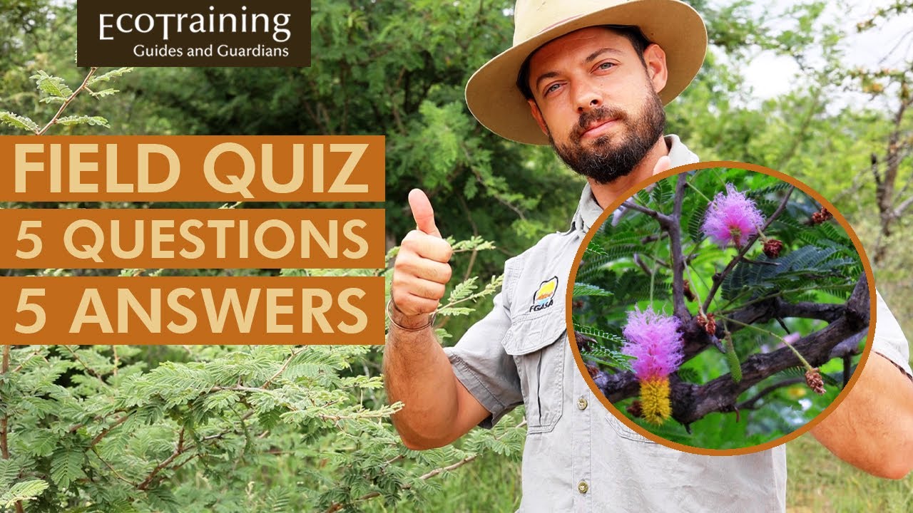 Interactive Field Observation Episode 1 | Test your knowledge