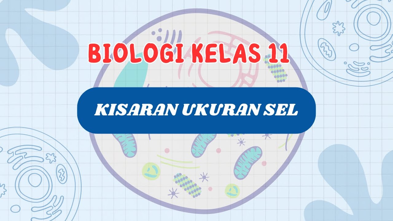 BIOLOGI Kelas 11 - Kisaran Ukuran Sel