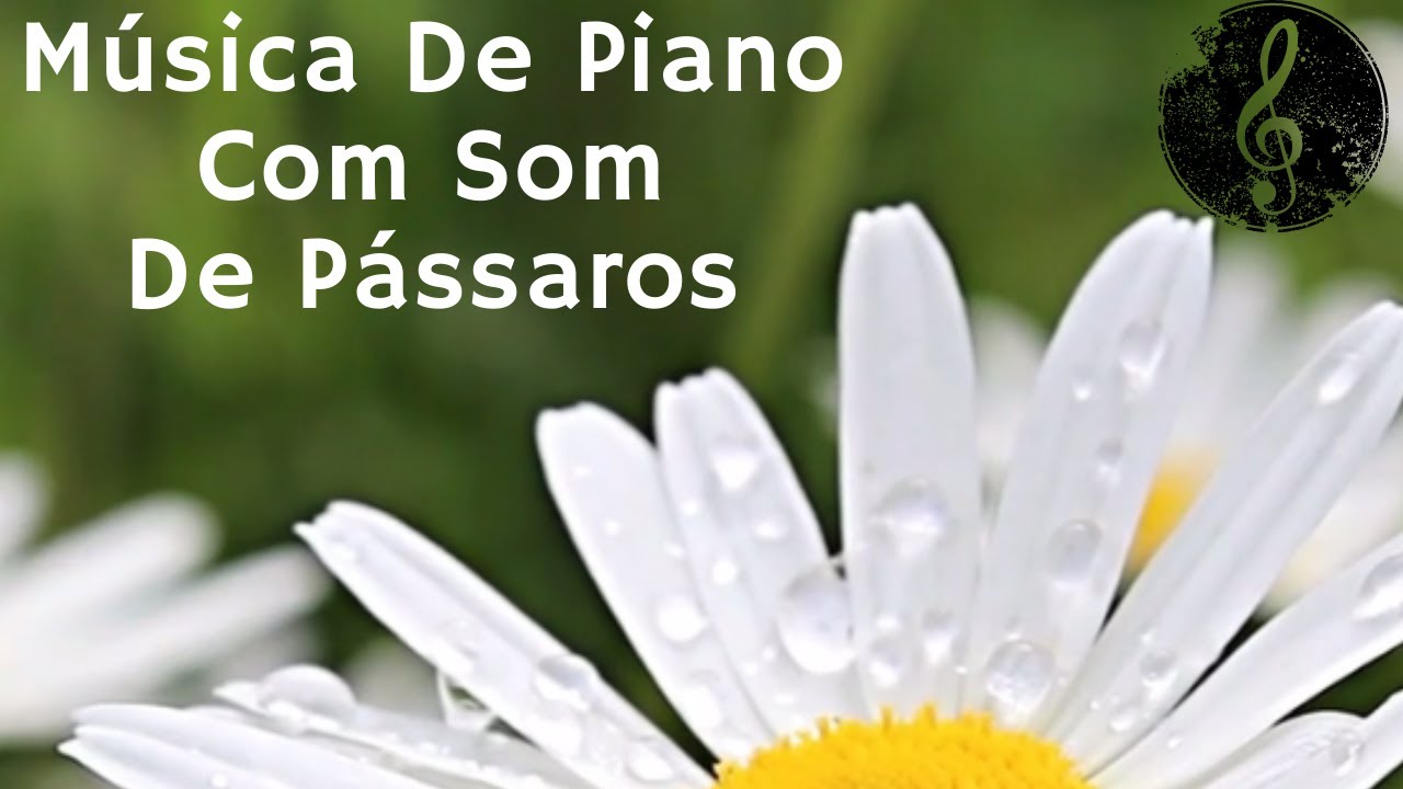 Música De Piano Com Som De Pássaros