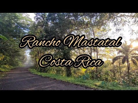 PERMACULTURE DESIGN | RANCHO MASTATAL | COSTA RICA 2022
