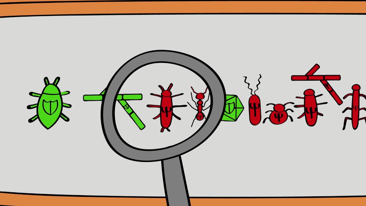 What is biological control?