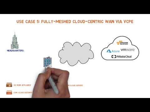 China Telecom Americas - Fully Meshed Cloud Centric WAN via vCPE - Use Case 5