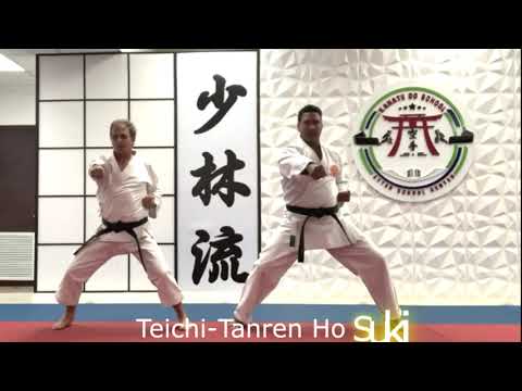 Teichi tanren ho: strikes and kicks from stances | Jyoshinmon Karate in ...