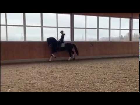 Joyride & Gonzalo Castillo