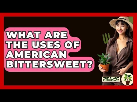 What Are The Uses Of American Bittersweet? - The Plant Enthusiast
