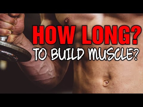 How Long Does It Take To Build Muscle?