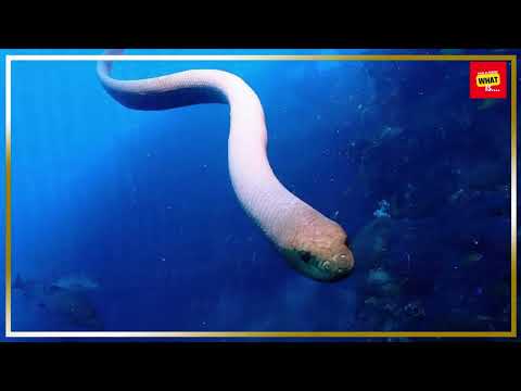 What is the significance of the Dead Sea?