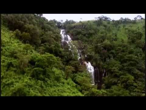 The Nature Conservancy - 60 Years of Conservation