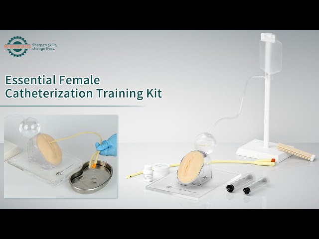 Catheterization & Enema Models - Transparent Female Catheterization ...