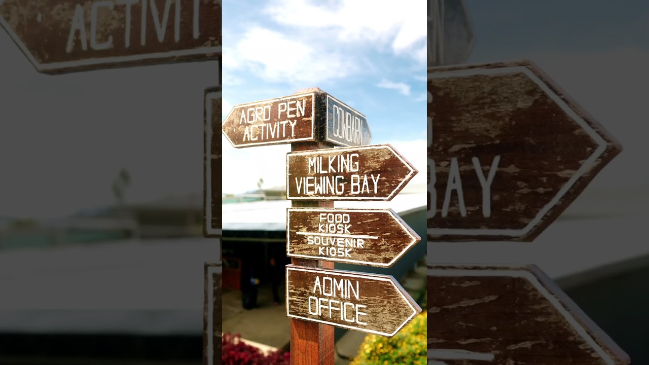 Unfading Memoirs | Desa Farm