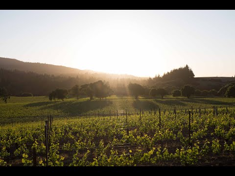 Winery Spotlight: Long Meadow Ranch