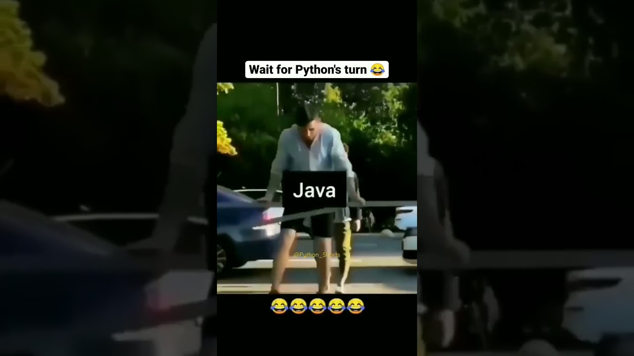 Wait for python's turn | Python vs Java | Meme