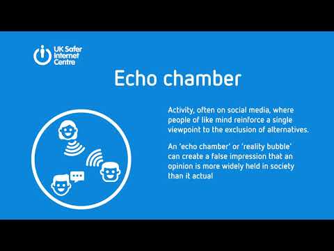 Definitions: Echo chamber (Film for 11-18 year olds)