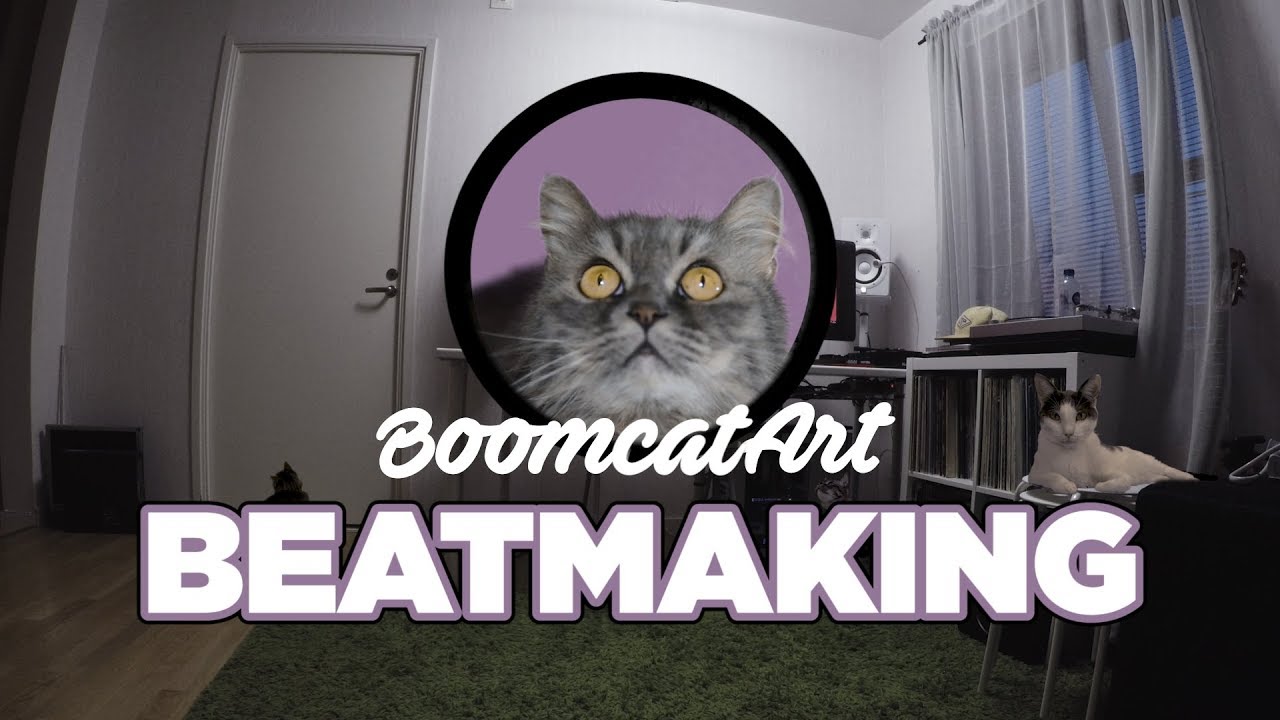 Maschine MK3 | Boom Bap Cat 😺