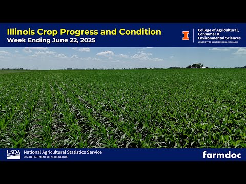 Illinois Crop Progress and Condition for week ending June 22, 2025