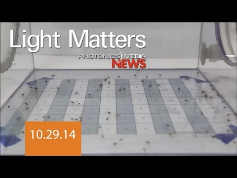 Rebecca Richards-Kortum & A Photonic Fence - LIGHT MATTERS 10.29.2014 ...