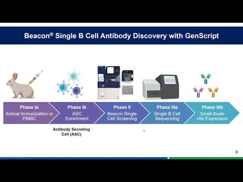 US 20200930 Free Webinar -- Rapid Identification of Diverse High-Affinity SARS-CoV-2 Antibodies