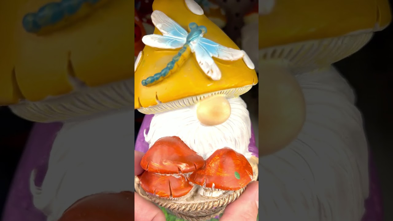 Garden Gnomes and Bug Friends Butterfly, Dragonfly, and Bee!