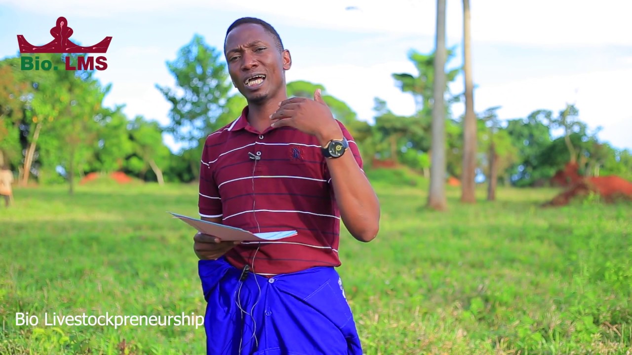 Goats 5: The why & how of establishing an effective goat farm records management system