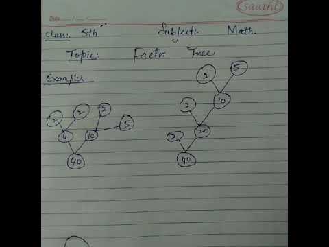 5th math factor three of 40 and 24