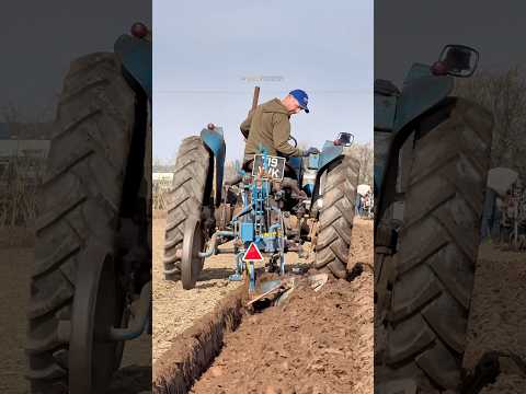 Fordson Major Ploughing