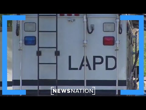 LAPD leak: 9,000+ officers’ identities posted online | Rush Hour
