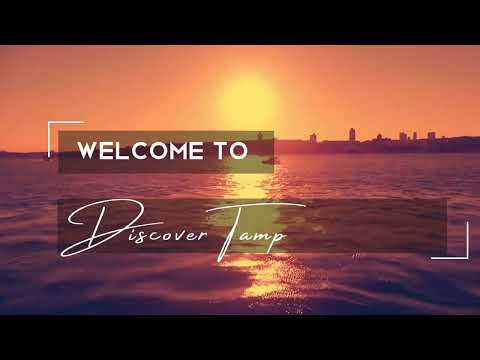 Discover why Tampa International Airport is the Best