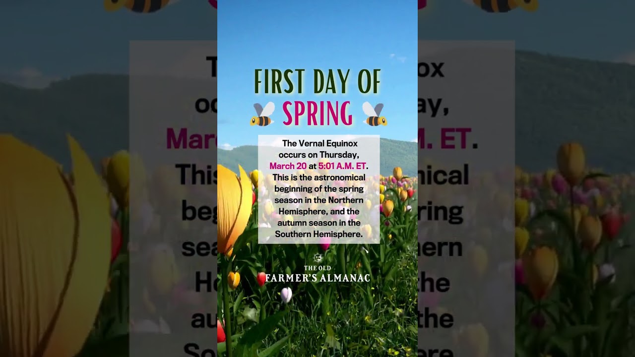 First Day of SPRING 2025!!!