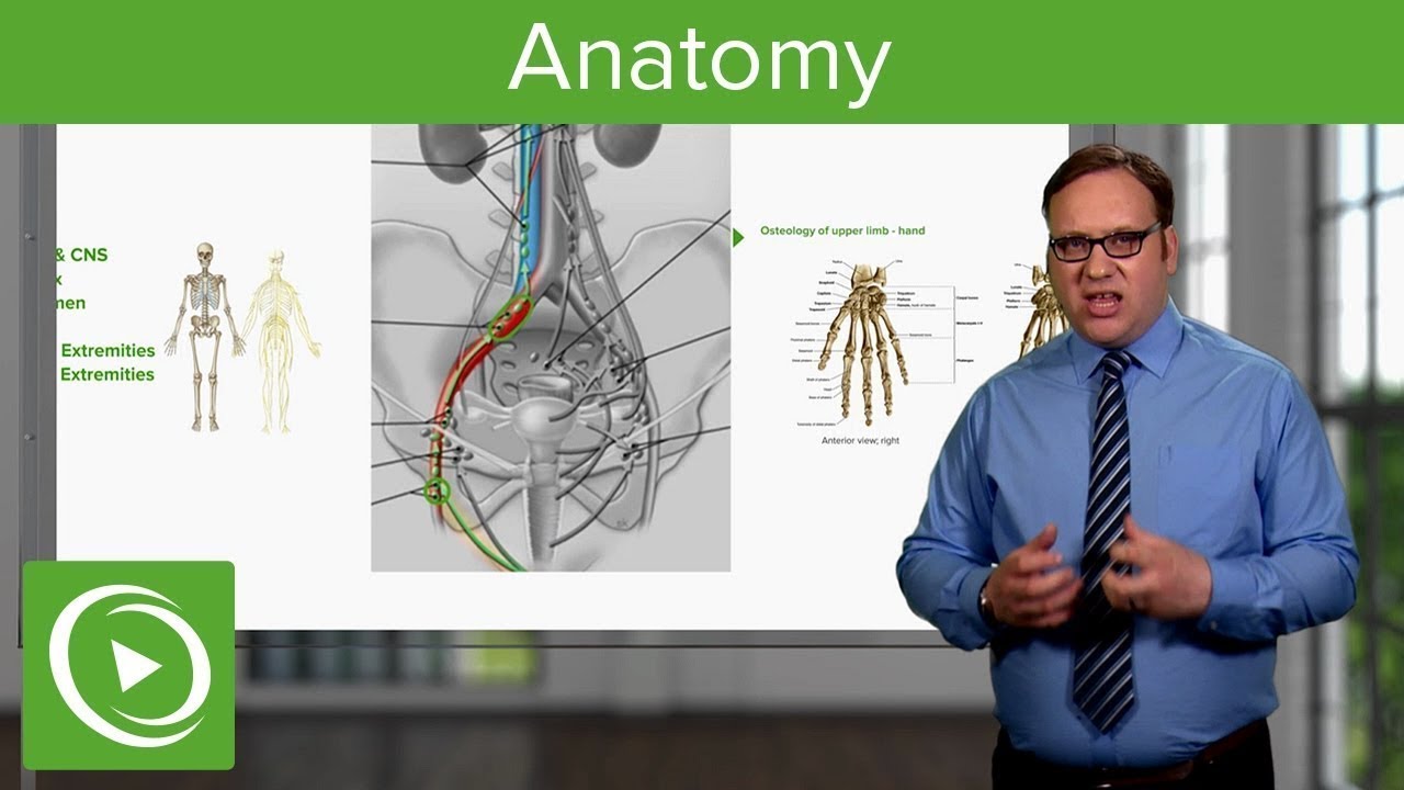 How to Master Human Anatomy 🧠📚 – Course Preview | Lecturio