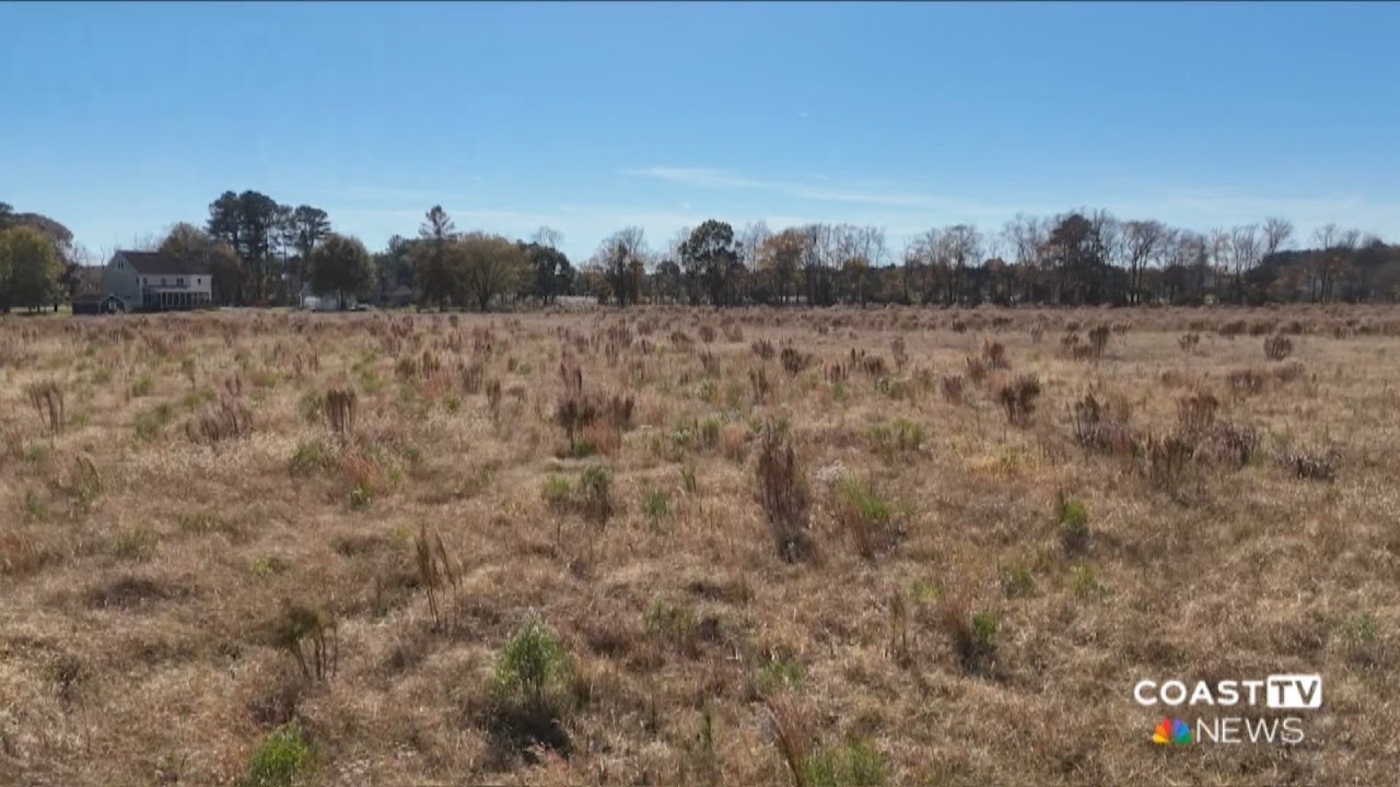 Proposed reforestation to nearly 20 acres in Lewes could bring increased resiliency