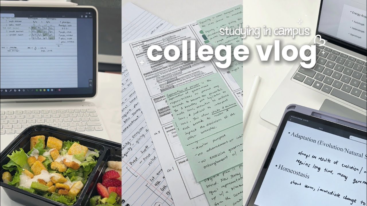 STUDY VLOG 🖇 studying on campus, very productive, & lots of timelapse | 2nd yr college