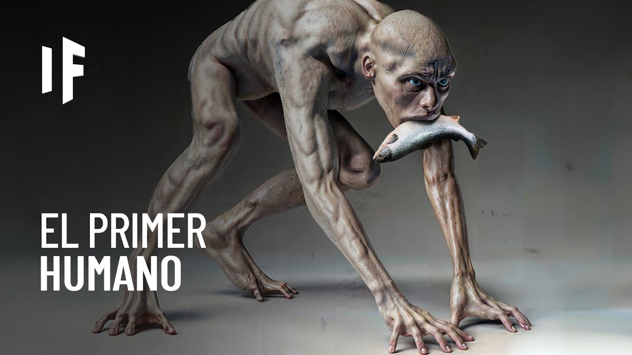 The evolution of humankind in 15 minutes