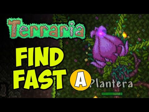 Steam Community :: Video :: Terraria how to FIND PLANTERA bulb easy ...