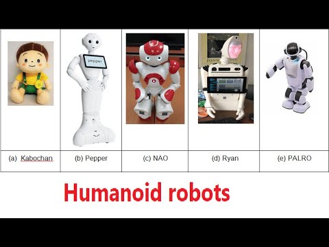 Humanoid robots vs robot teachers vs social robots