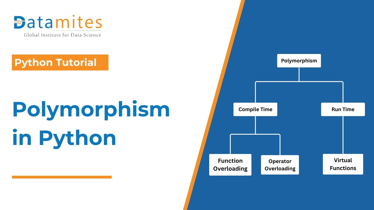 Understanding Polymorphism in Python with Practical Examples