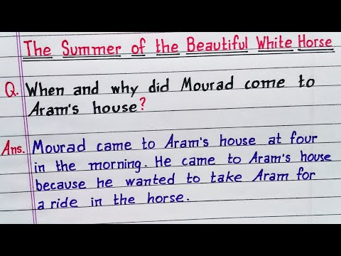 When and why did Mourad come to Aram's house? | The Summer of the Beautiful White Horse | Class 11
