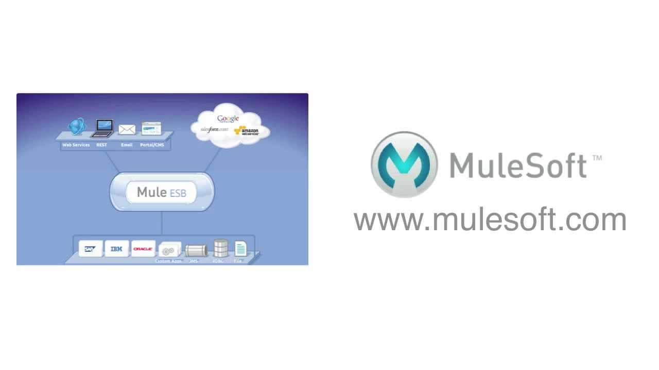 Introducing Mule ESB