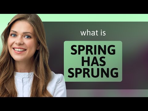 Spring Has Sprung: Unveiling the Charm of English Idioms