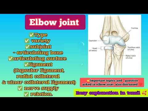 ANATOMY OF ELBOW JOINT IN TAMIL (PART-1)| ELBOW JOINT IN TAMIL | ELBOW JOINT ANATOMY TAMIL| ANATOMY