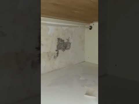 Cabinet Damage Wooden Panel Replacement | Singapore | Call Now +65-98112405