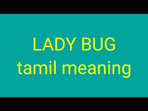 LADY BUG tamil meaning/sasikumar